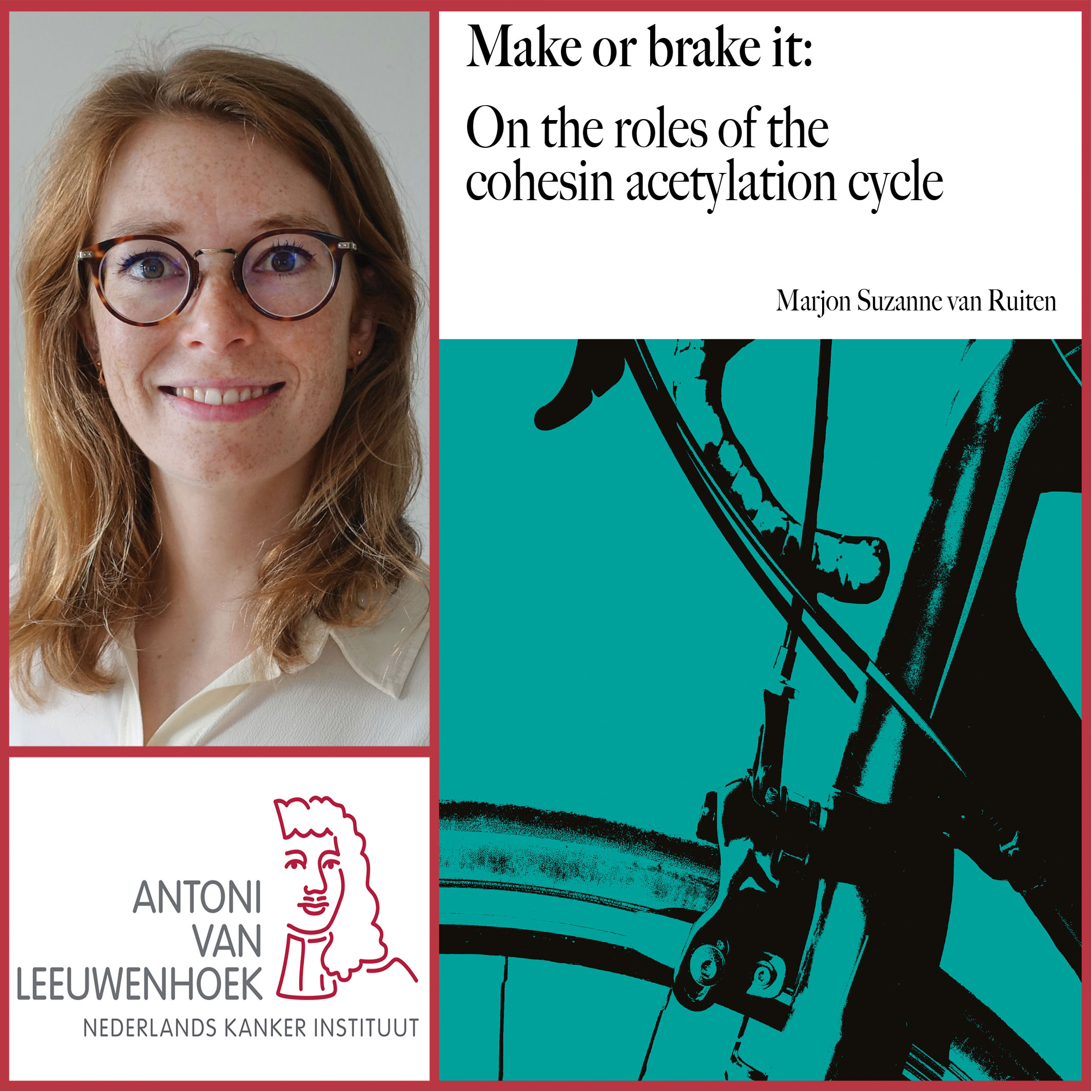 Promotie Marjon van Ruiten: “Hoe past een sliert van twee meter in een ...